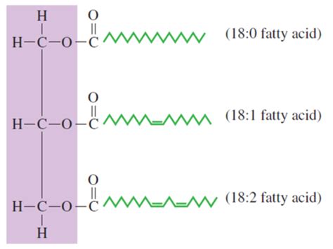 Biochemistry Lipids Flashcards Quizlet