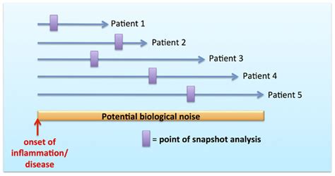 Biological Noise With Snapshot Analysis During Temporal Course Of Download Scientific Diagram