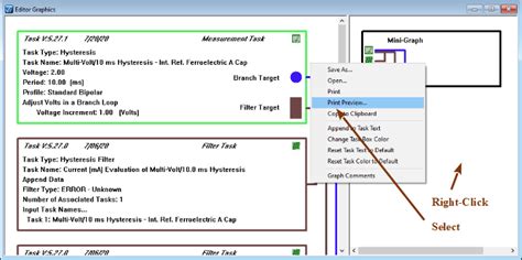 Main Vision ManualPrint Preview Printing