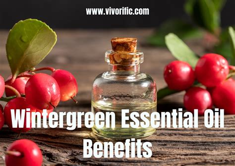 Wintergreen Essential Oil Benefits And Uses