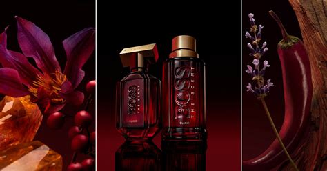 Boss The Scent Elixir Duo ~ New Fragrances