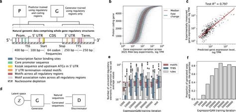 Designing Dna Sequences That Control Gene Expression Using Generative