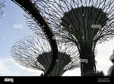 Close Up Of Supertree Grove Tree Like Structure That Performs A