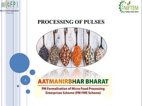 Pulse Processing Ppt 2pdf