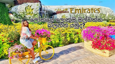 ලෝකයේ විශාලතම මල් වත්ත මිරකල් ගාඩින් A Floral Paradise Worlds Largest Flower Garden 🌻 Youtube