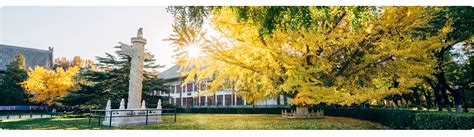 2024年北京大学环境科学与工程学院pku Lse项目环境管理专业（环境政策、技术与健康方向） 优秀大学生夏令营的通知 通知公告 Announcements 北京大学环境科学与工程学院