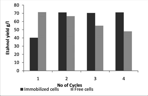 Comparison Of Ethanol Production By Immobilized And Free Cells By Download Scientific Diagram