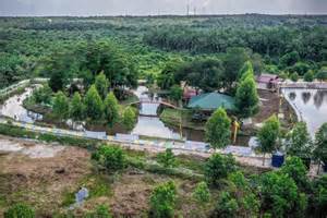 Foto Pesona Desa Dayun Di Siak Punya Danau Rawa Gambut Terluas Ke 2 Di Dunia