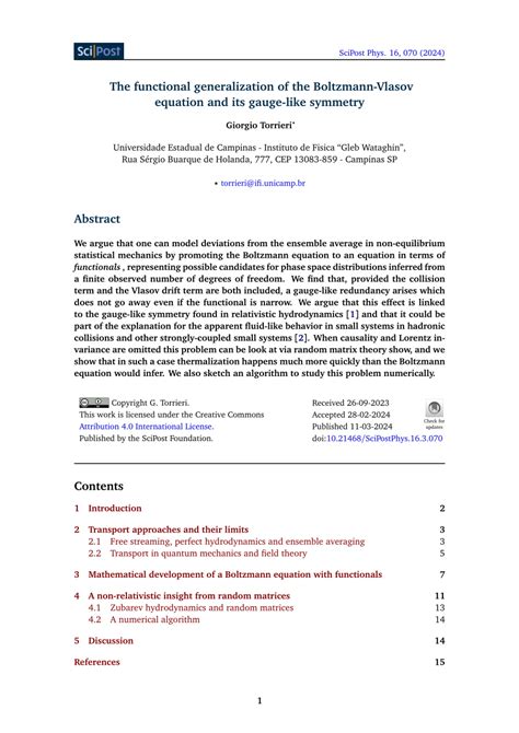 Pdf The Functional Generalization Of The Boltzmann Vlasov Equation