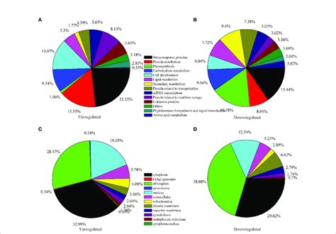 Functional Classification And Subcellular Localization Of All Download Scientific Diagram