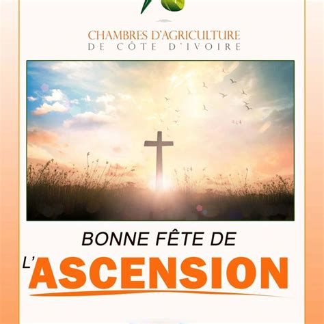 Chambre Nationale Dagriculture De Ci Cnaci Posted On Linkedin