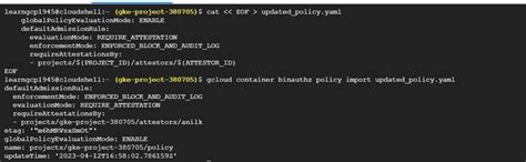 A Guide To Implement Binary Authorization On Gcp A Guide To Implement Binary Authorization On Gcp