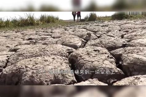 姐弟泥坑里挖鱼，刚掰开一块泥土，没想到却挖出一条猛兽泥坑泥土姐弟