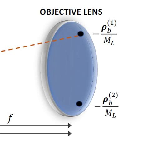 Schematic Representation Of Light Field Microscopy With Correlated