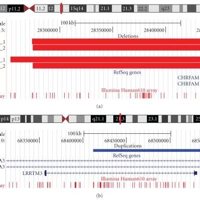 Representative Image Of B Allele Frequency And Log R Ratio Of The Download Scientific Diagram