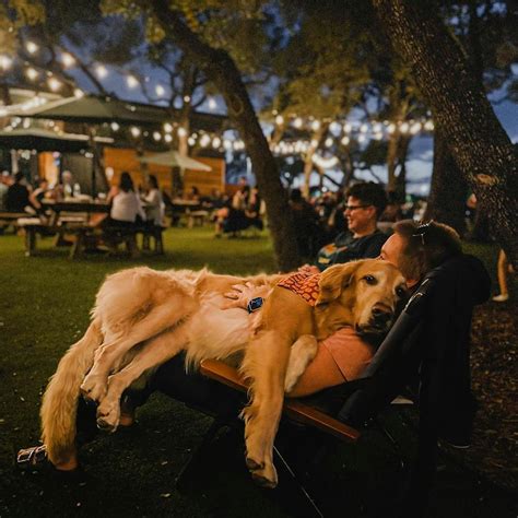 A Winter Getaway In Cedar Park Texas Guide Texas Monthly