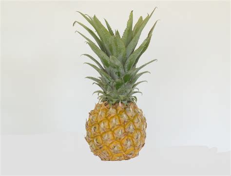 Mini Ananas Foto And Bild Food Süß Obst Bilder Auf Fotocommunity