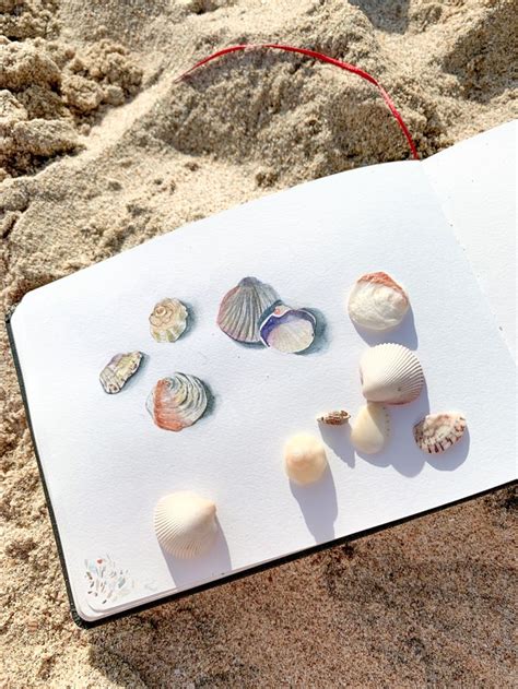 Realistic Sea Shells Colorful Drawings Watercolor Paintings Tutorials Watercolor Journal Realistic Sea Shells Colorful Drawings Watercolor Paintings Tutorials Watercolor Journal