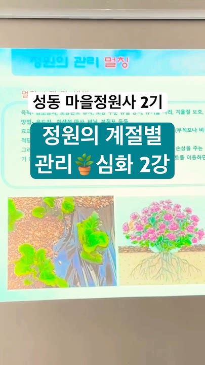 정원의 계절별 관리🪴성동 마을정원사 심화반 2기 교육 성동가드닝센터 정원관리 서울숲복합문화센터 Youtube