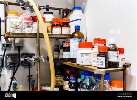 Organized Chemical Reagents And Containers On Laboratory Shelving Biochemistry Laboratory