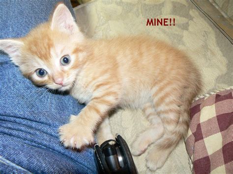 Mine By Isabelle Nikki On Deviantart