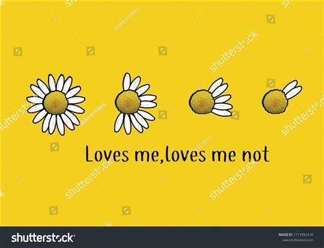 Loves Me Loves Me Not Daisy Stock Vector Royalty Free 1717992418