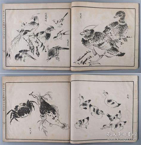 图民国时期 中华书局影印张子祥课徒画稿线装 大开本四册全 HXTX284774 拍品信息 网上拍卖 拍卖图片 拍卖网 拍卖网站
