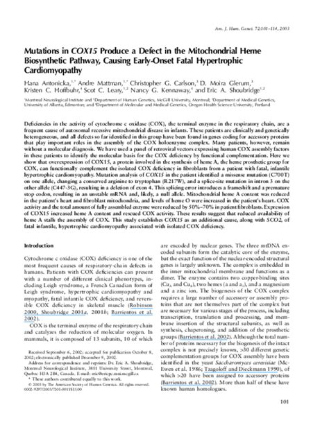 Pdf Mutations In Cox15 Produce A Defect In The Mitochondrial Heme Biosynthetic Pathway