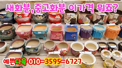 230918📍예쁜다육 🎀화분 가격 보시면 놀라실거예요 Youtube