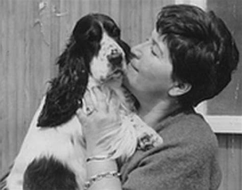 Cocker Vom Schloß Hellensteinhellensteiner Chronik