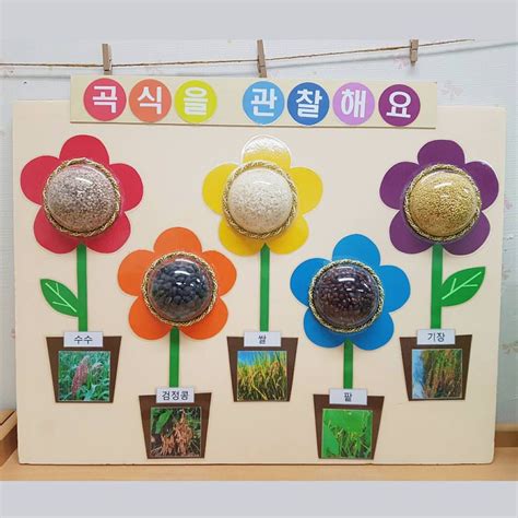 자연물로 꾸민 얼굴에 대한 이미지 검색결과 Ý Tưởng Lớp Học Trang Trí Đồ Chơi