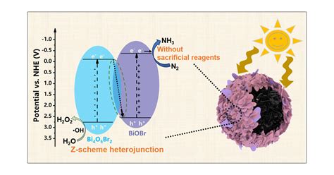Boosting Carrier Separation On A Biobrbi4o5br2 Direct Z Scheme Heterojunction For Superior