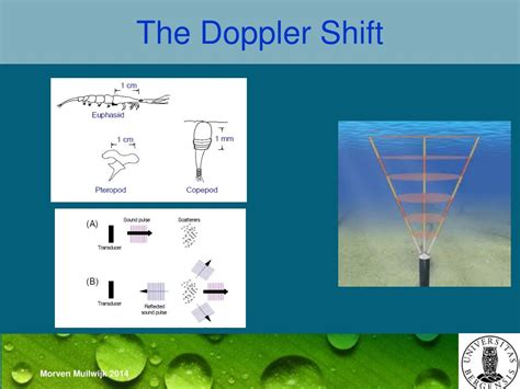 Ppt Adcp Acoustic Doppler Current Profiler Powerpoint Presentation