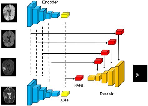 frontiers medical image segmentation based on self supervised hybrid