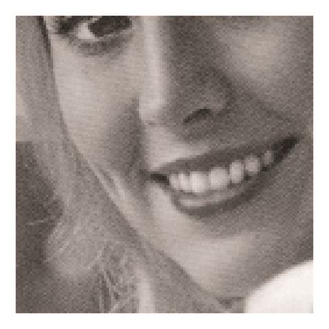 Images Used In The Synthetic Experiments Download Scientific Diagram