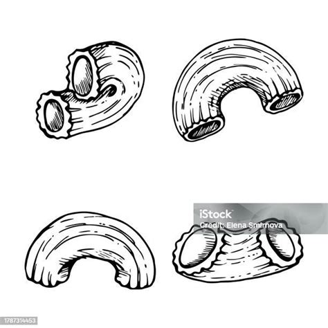 손으로 그린 벡터 잉크 그림입니다 파스타 이탈리안 요리 팔꿈치 Gobetti 전통 요리 흰색으로 분리된 단일 개체 요소 집합입니다 레스토랑 메뉴 식품점 및 패키지 전단지