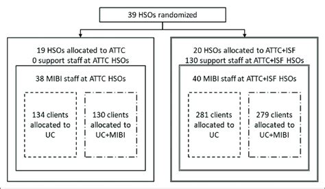 Dual Randomized Type 2 Hybrid Trial Design Download Scientific Diagram