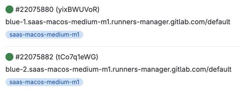 Gitlab Pipeline For Macos Is Stuck For Gitlab Cicd Gitlab Forum