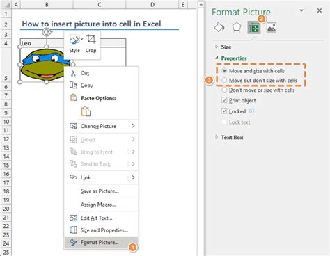 Insert Image Excel • Spreadsheetweb • Excel Tips And Tricks