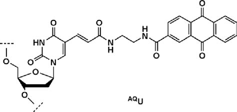 Figure 1 From Photoelectrochemical Evaluation Of Ph Effect On Hole Transport Through Triplex