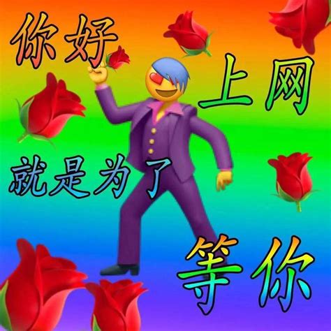 表情包 你好 上网就是为了等你