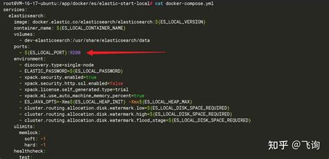 Docker 安装 Elasticsearch 9 知乎