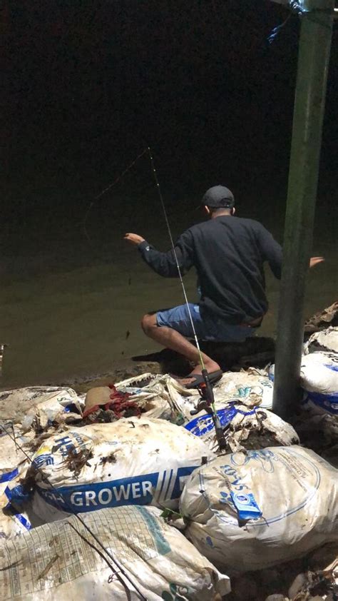Mancing