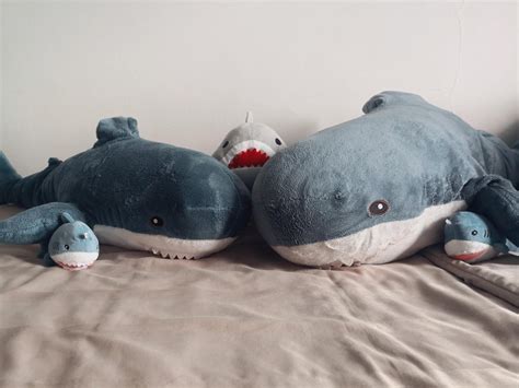 Blahaj Sizes R Blahaj