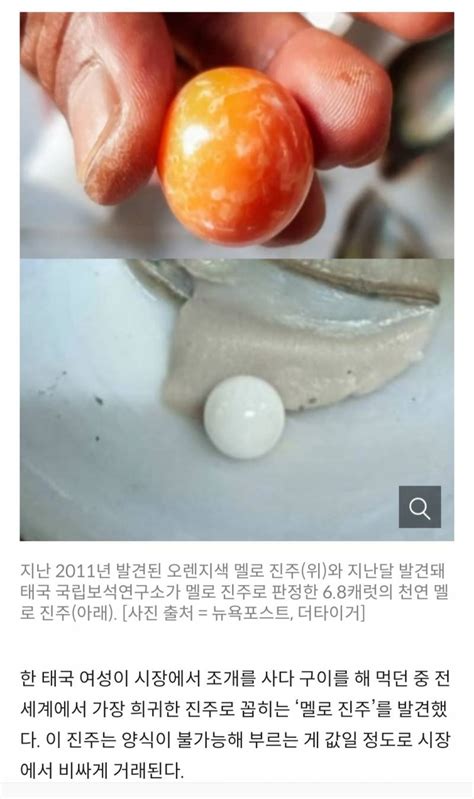 로또 조개”…조개구이 먹다 3억대 희귀 진주 발견한 태국 여성 인스티즈 Instiz 이슈 카테고리