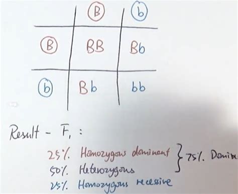 a level bio chpt 20 patterns of inheritance variation flashcards