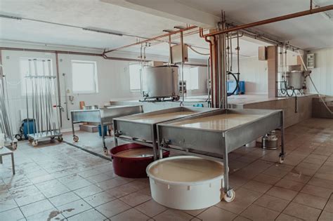 유제품 가공 및 다양한 종류의 치즈 생산을위한 현대 공장의 내부 치즈 제조에 대한 스톡 사진 및 기타 이미지 치즈 제조 0