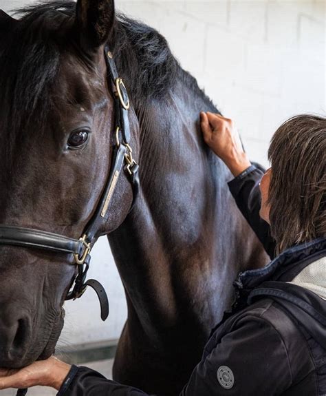 Workshop Body Condition Score Voedingsadvies Paard