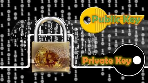 Unlock Your Crypto Wallet Public And Private Keys Explained