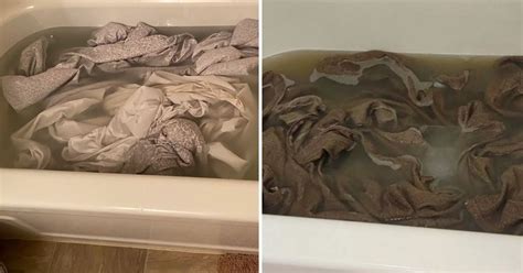 Woman S Cleaning Hack Exposes The Hidden Grime In Your Clean Bathroom Towels